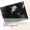 임신 안정기 28주 임산부 몸무게 백일해주사 예방접종 밀크티 탄산수 카페인 권장량 네이버 블로그
